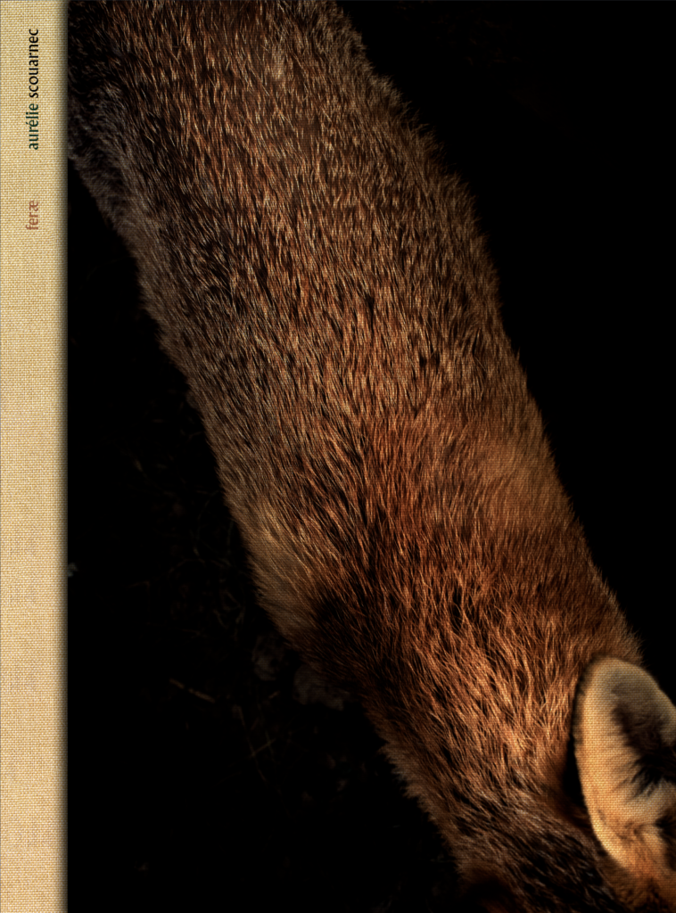 Feræ par Aurélie Scouarnec - Faune Alfort